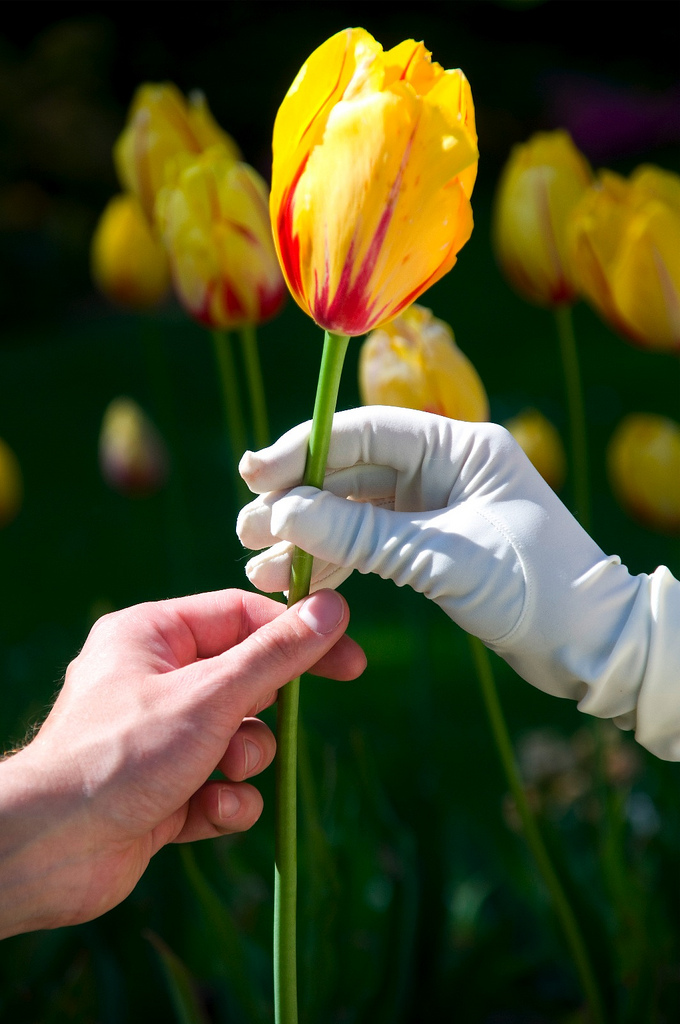 Ironshield Financial PlanningCanadian Charities - Good Giving ...